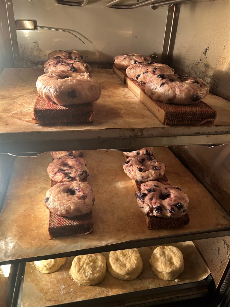 Let’s Talk About Bagels – Big Stretch Bakery